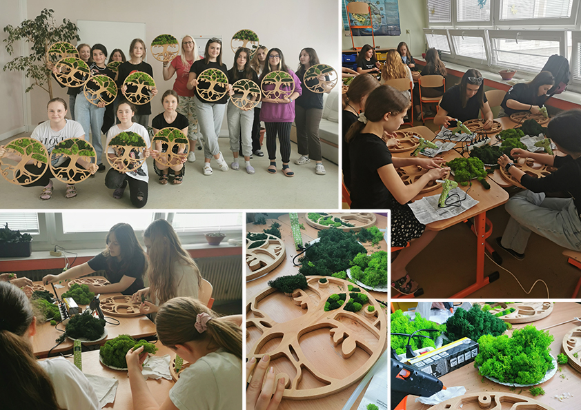 Všetko čo vás zaujíma o mojich machových obrazoch.